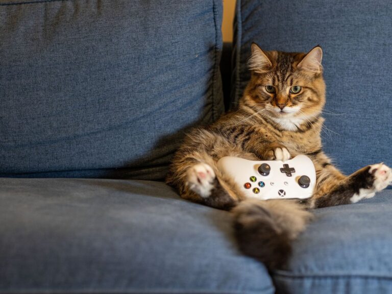 Gaming Setup: 10 Tipps für ein ideales Spielerlebnis